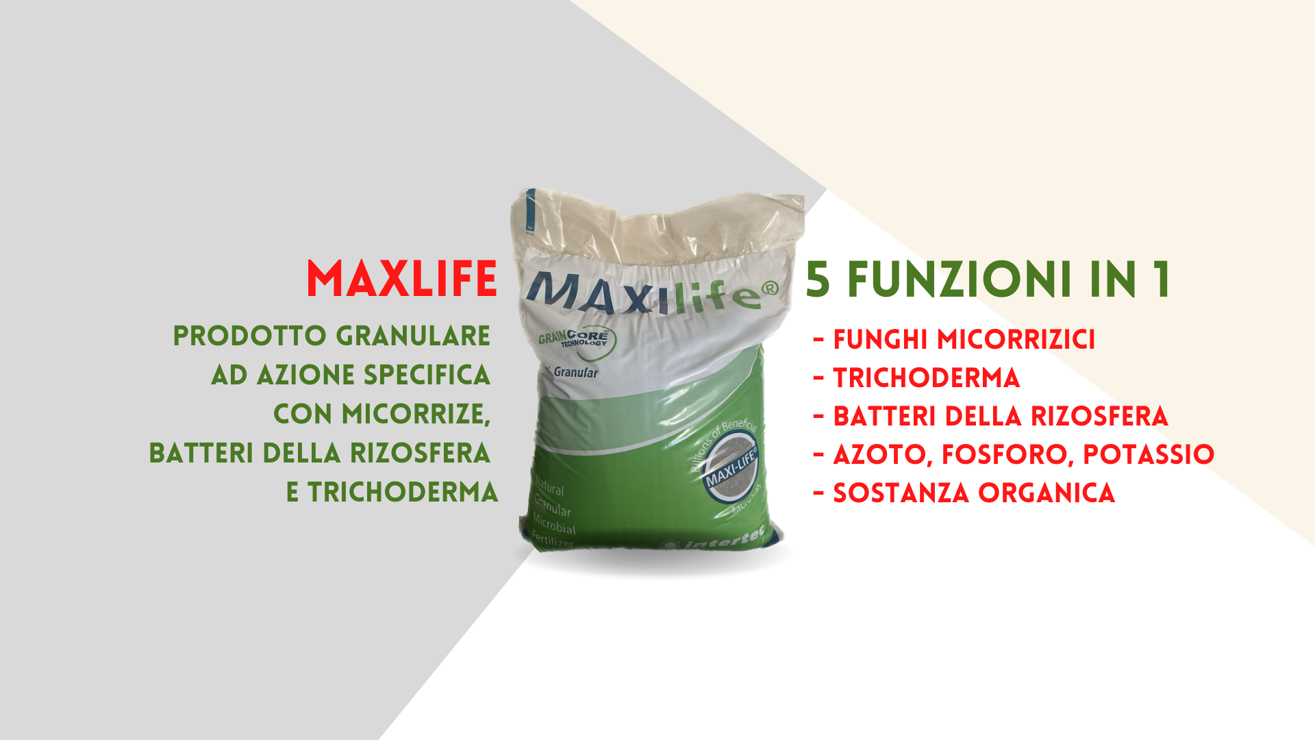 Vendita prodotti agricoltura | Greenagri – Greenagri Latiano